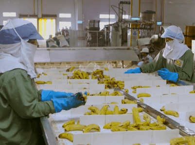 Food R&D & Ingredient Innovation | Jain Farm Fresh