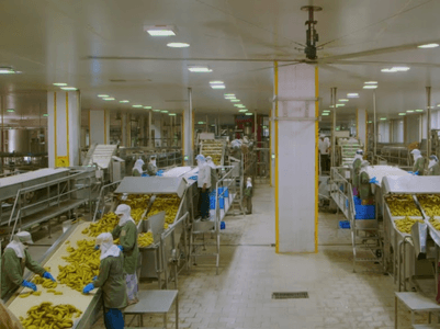 Food R&D & Ingredient Innovation | Jain Farm Fresh